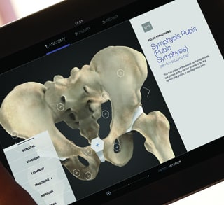 Creative Expression In The Digital Era Matter